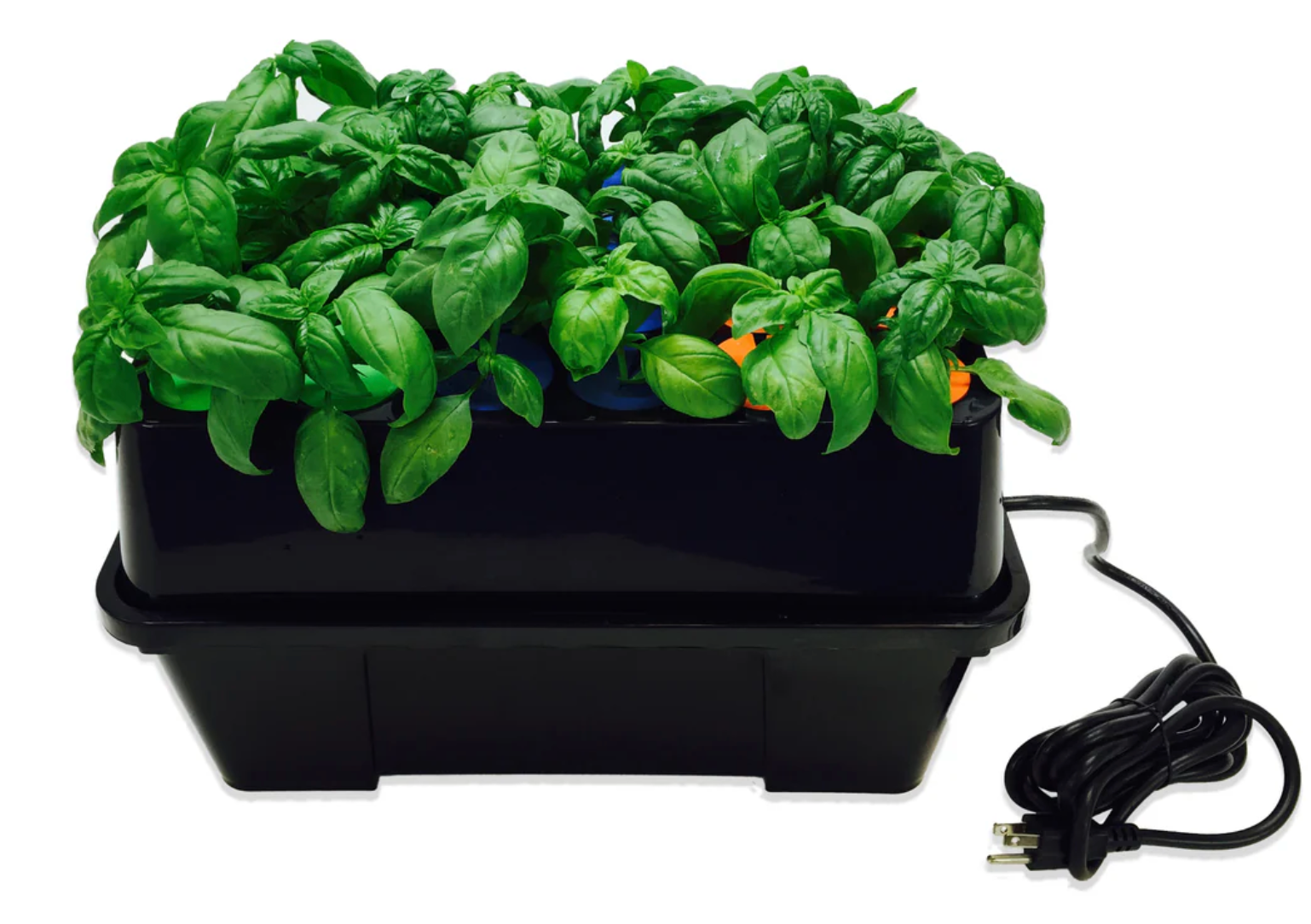 How to Clone Plants Successfully with Aeroponic Cloning | Viagrow